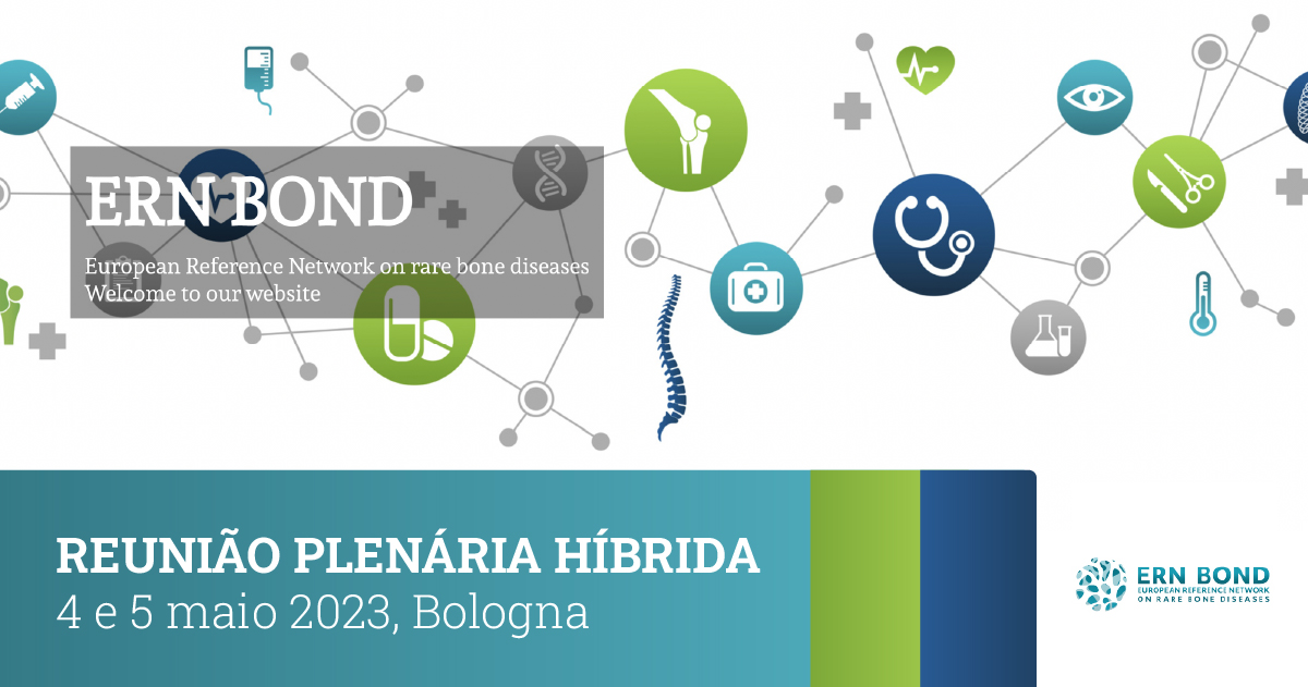 Reunião Plenária Híbrida ERN BOND - 4 e 5 de Maio 2023 | ANDO Portugal ...